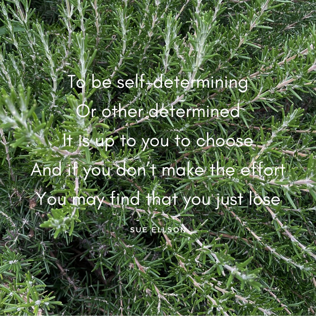 Future Poem - Sue Ellson