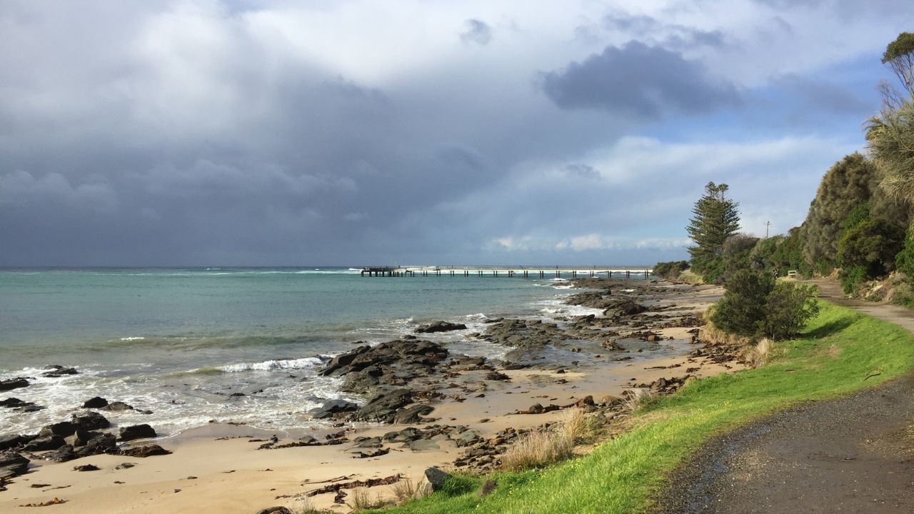 Holiday Nerves - What to do for your job or career during the holidays ...