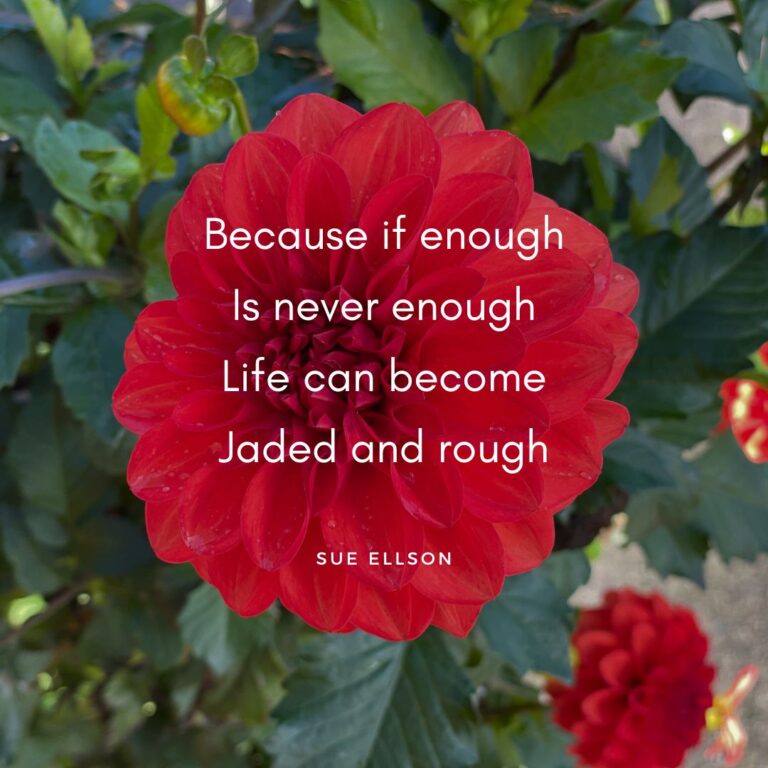 Never Enough Poem - Sue Ellson